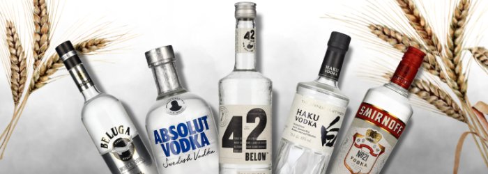 Buy Vodka: Find top brands in our online store!